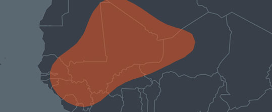 AncestryDNA – Discover your own cultural food