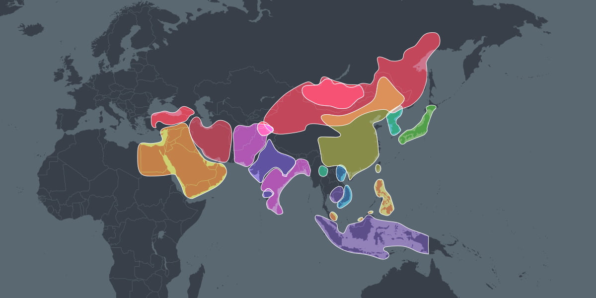 Mehr Regionen, mehr Details | AncestryDNA®