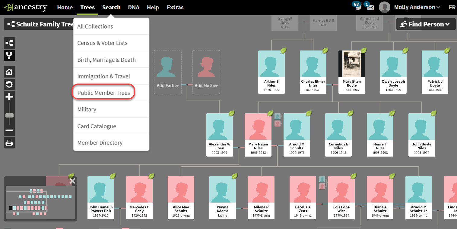 Searching Public Family Trees