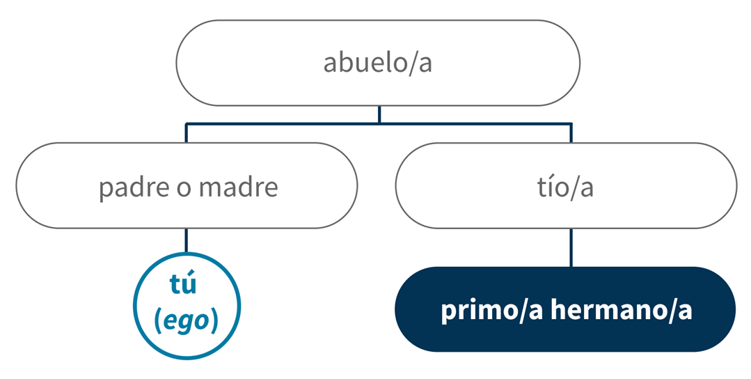 Terminología sobre parentescos