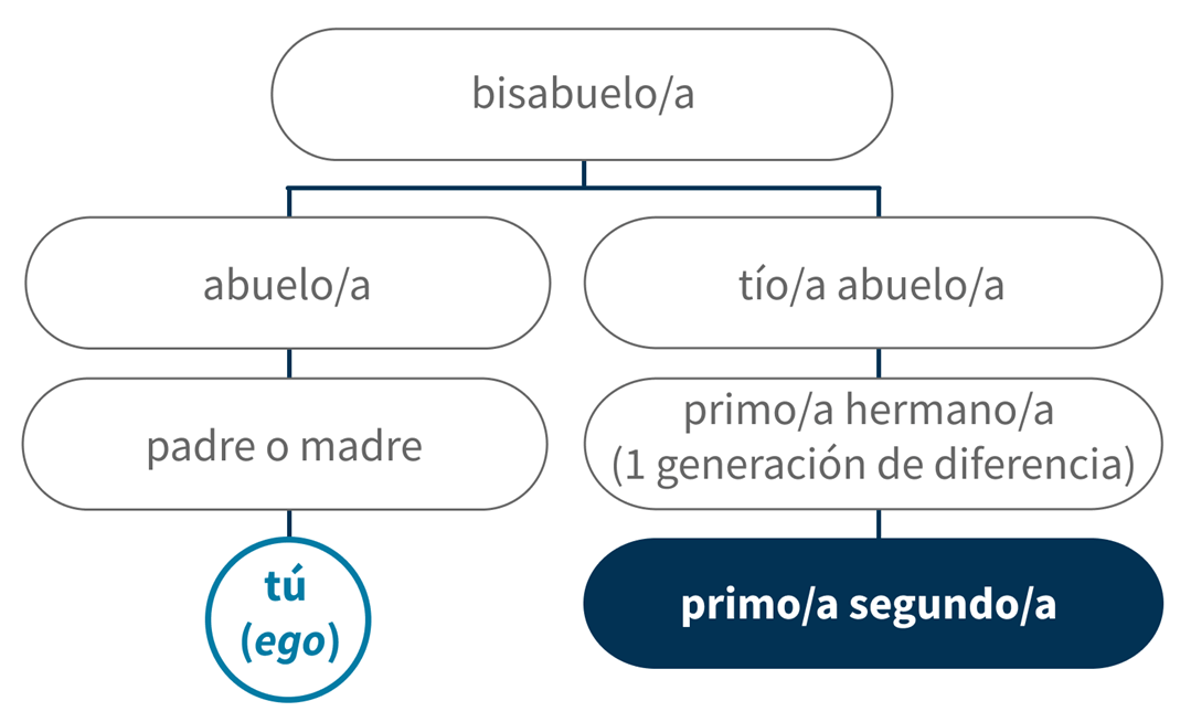 Terminología sobre parentescos