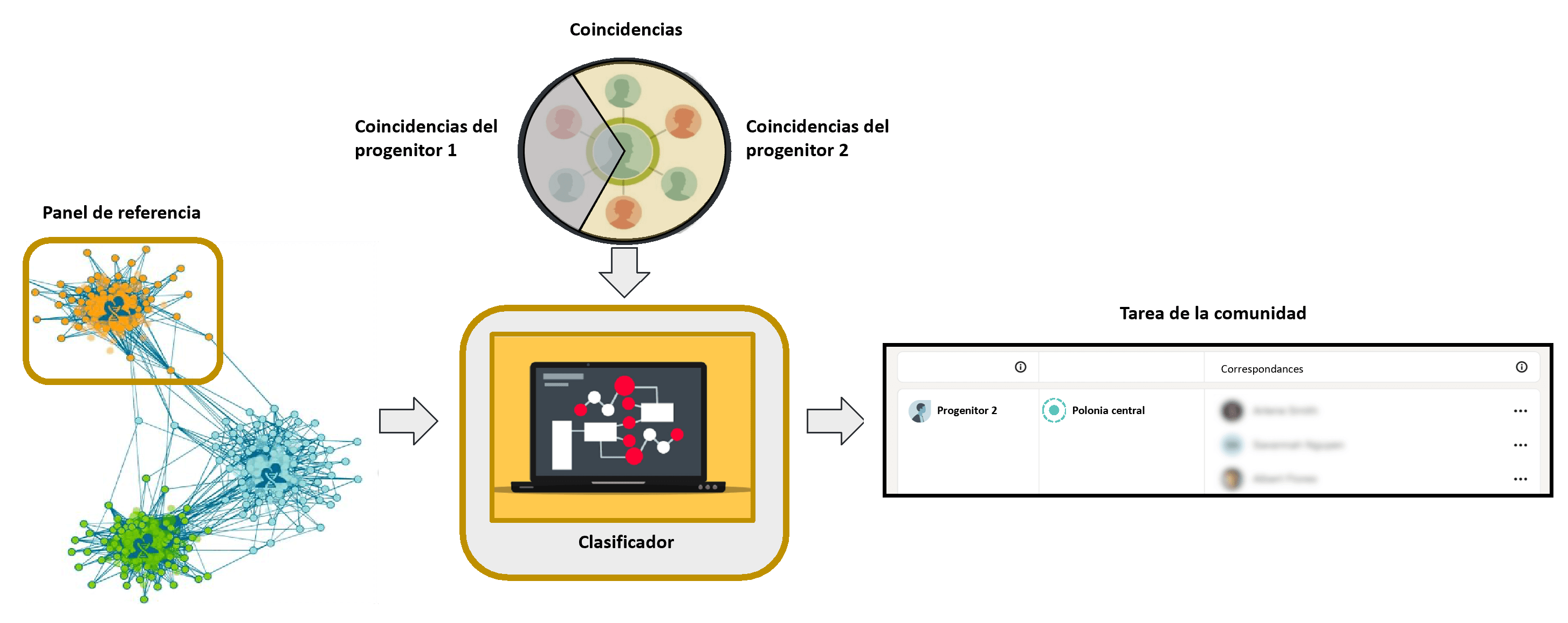 Qué dice la ciencia acerca de: Recorridos ancestrales según el progenitor