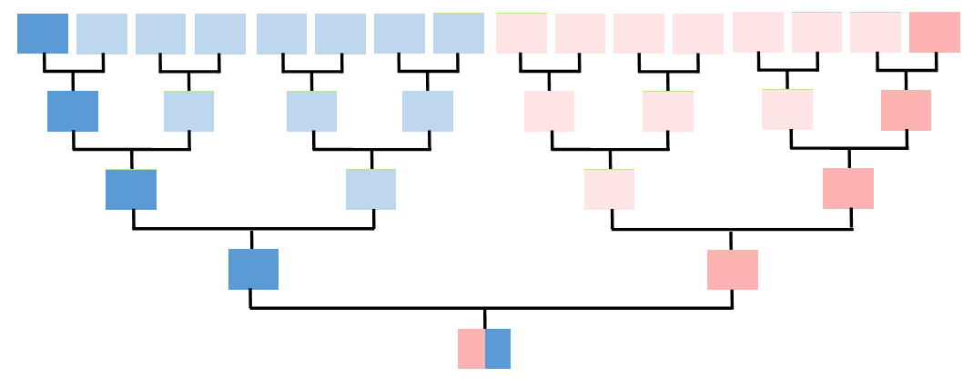 Y-DNA, mtDNA, and Autosomal DNA Tests