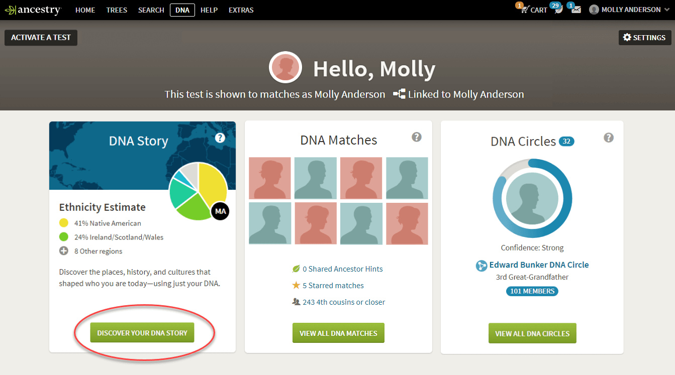AncestryDNA Ethnicity