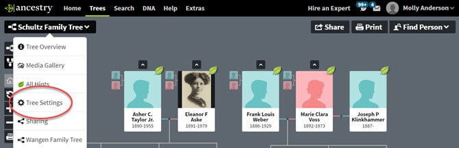 Deleting a Family Tree