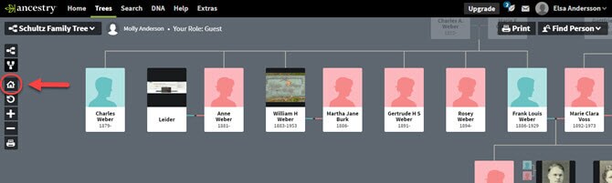 Missing Family Trees