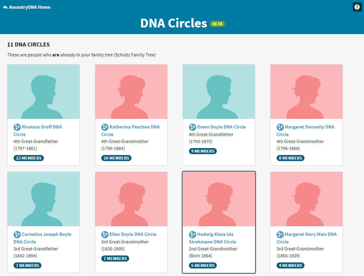 What to Expect from AncestryDNA®