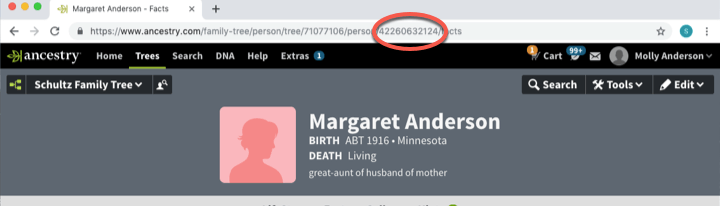 Merging Duplicate People