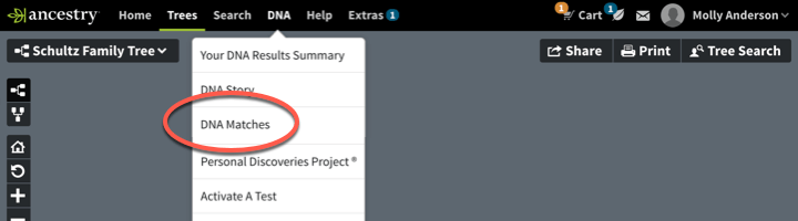 AncestryDNA® Matches