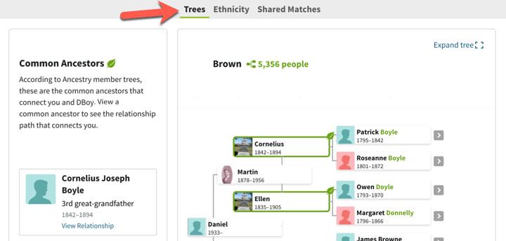 AncestryDNA® Matches