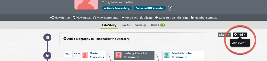 Editing or Printing a LifeStory