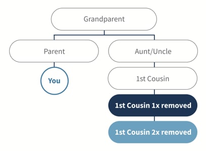 Family Relationship Terms