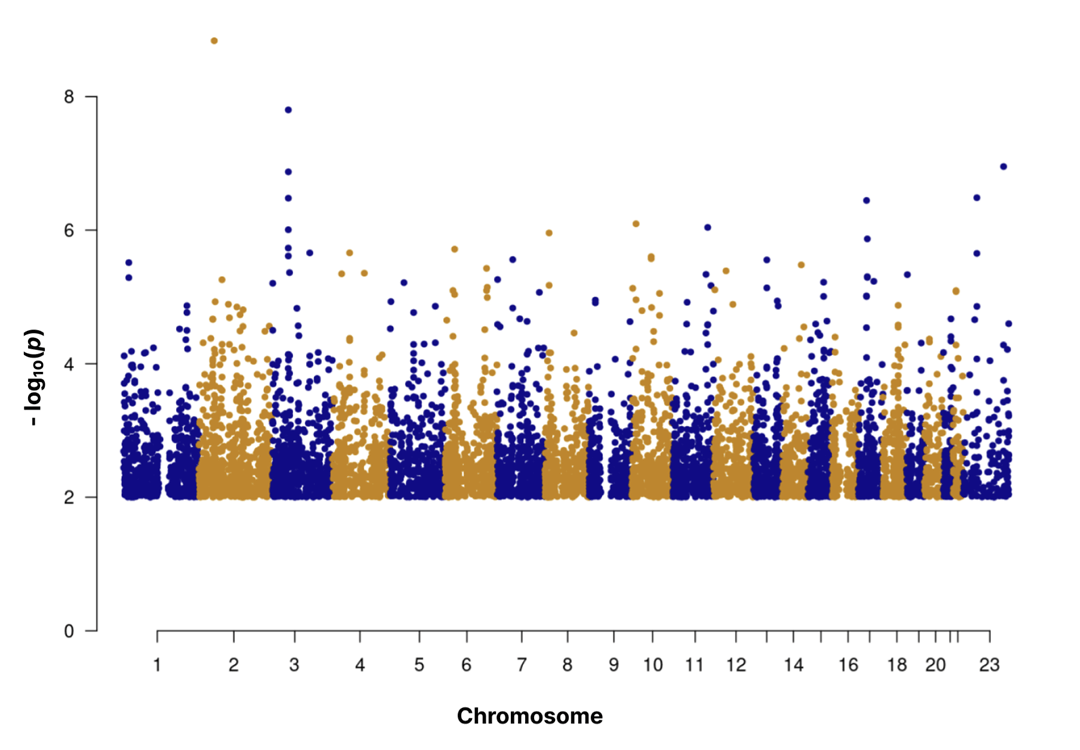 Polygenic Risk Score (PRS) Traits