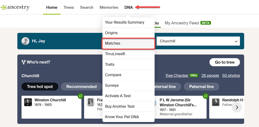 AncestryDNA® Matches