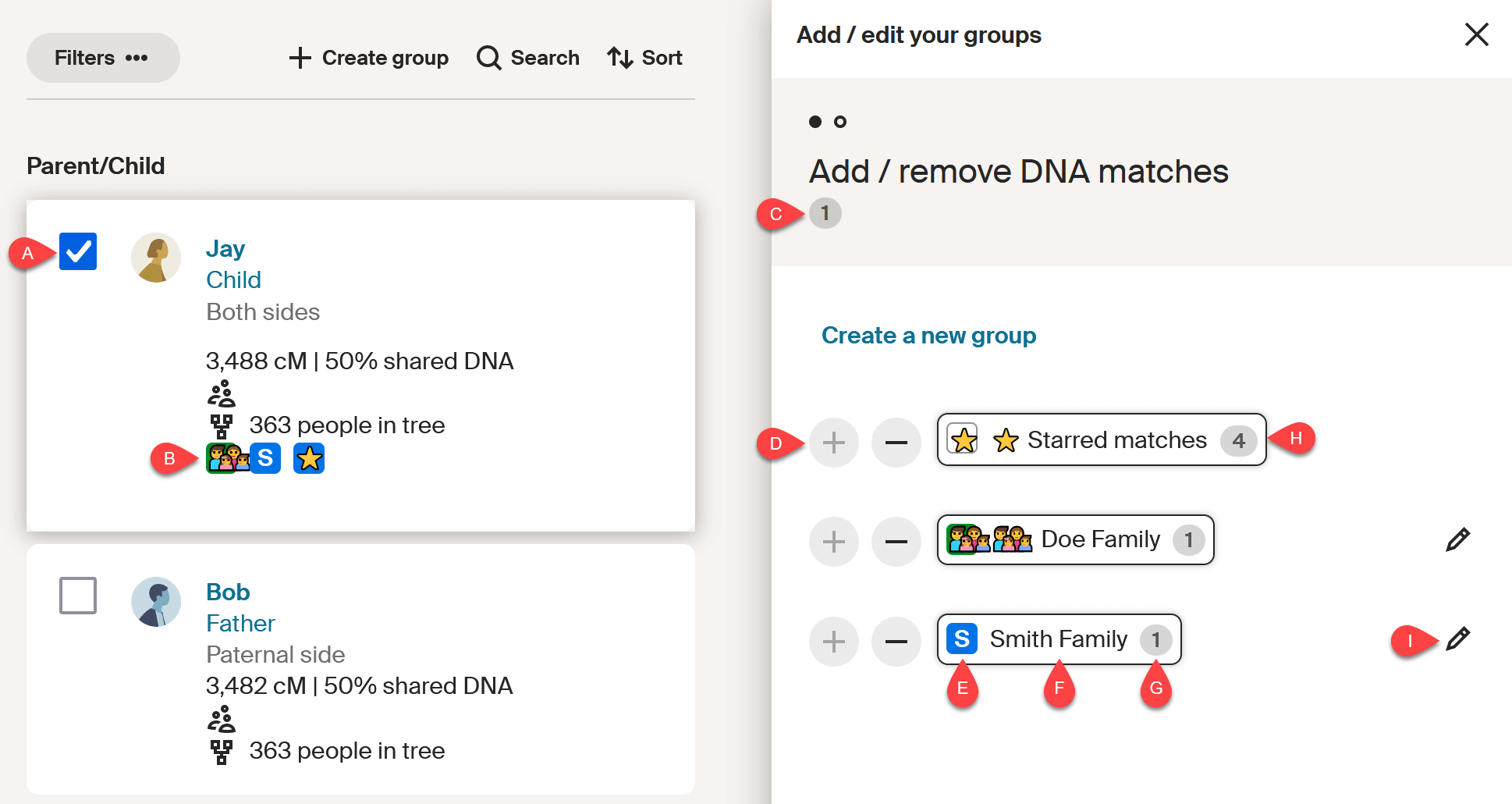 Grouping and Filtering AncestryDNA® Matches