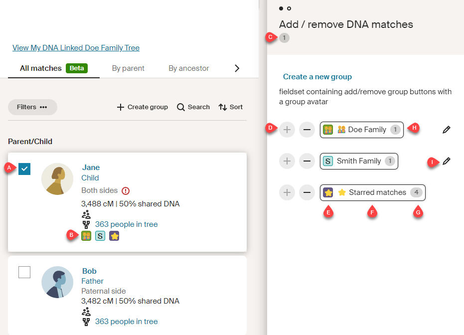 Grouping and Filtering AncestryDNA® Matches