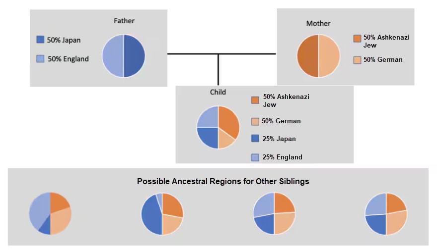 Why Is My Percentage for an Ancestral Region Higher (or Lower) Than My ...