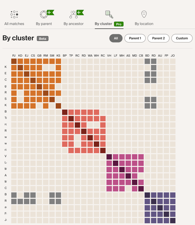 Matches by Cluster